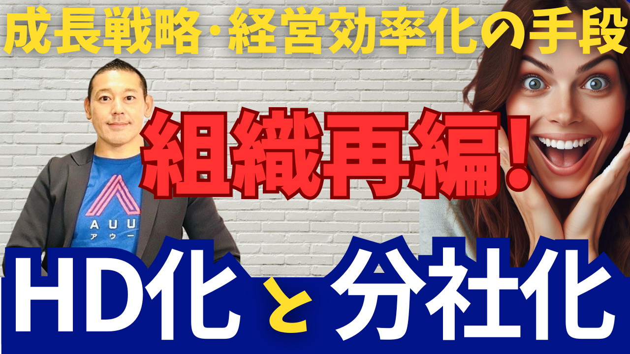 組織再編！HD化と分社化のメリット・デメリットとは？ - AUU Online